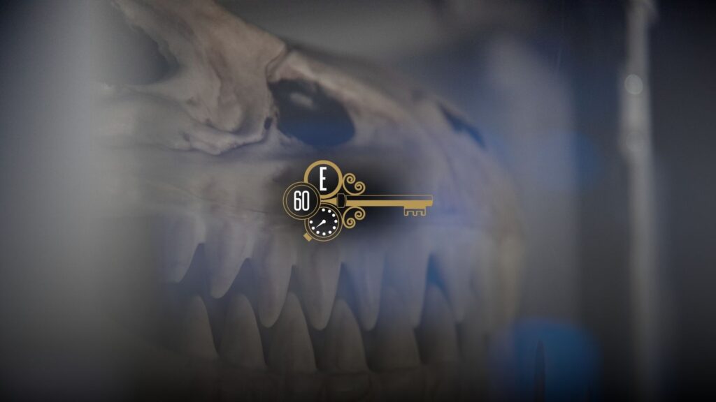 Experience the Jurassic Escape Room in Calgary